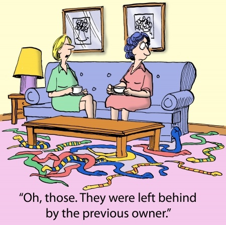 Funny New Apartment